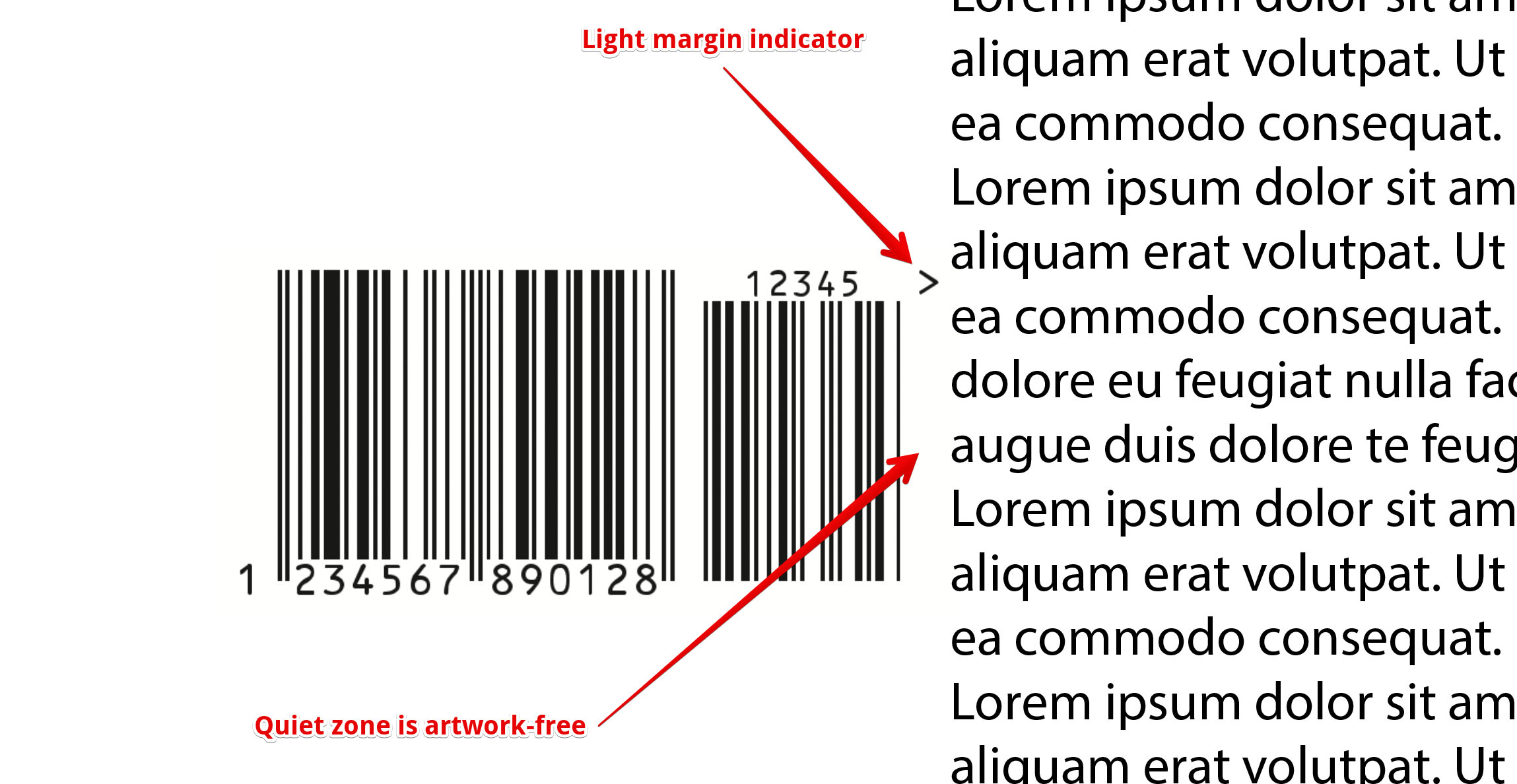 Quiet Zone and Light Margin Indicator